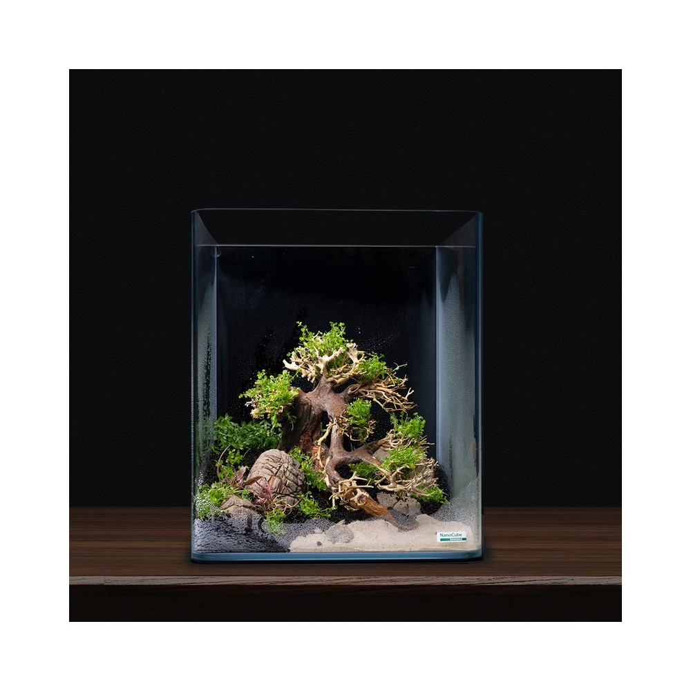 Dennerle Decor Bonsai Box