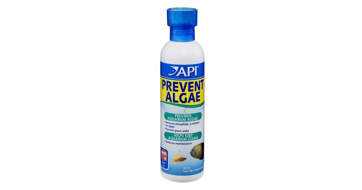 Api Prevent Algae 237ml
