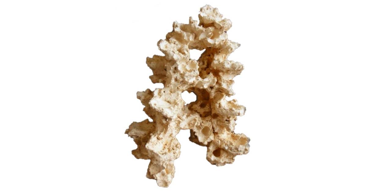 Aquaroche Multi Reef Element