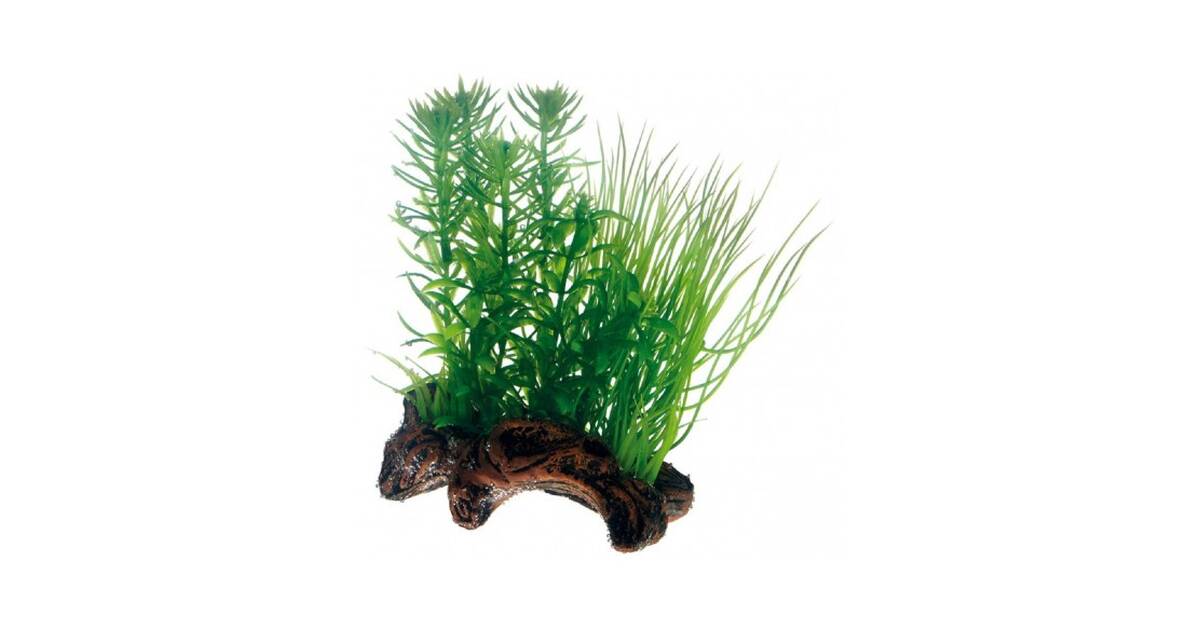 Hobby Flora Root 2 17cm