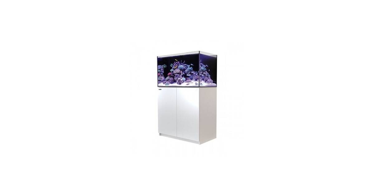 Red Sea Reefer 250 White