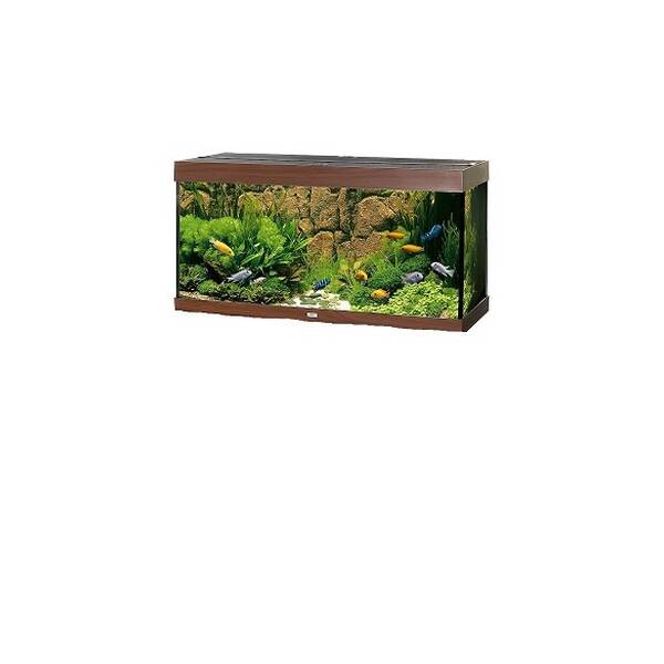 Juwel Rio 350 LED Dark Wood